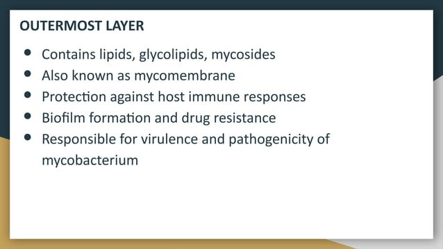 Morphology of mycobacterium tuberculosis | PPT