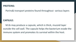 Morphology of mycobacterium tuberculosis | PPTX
