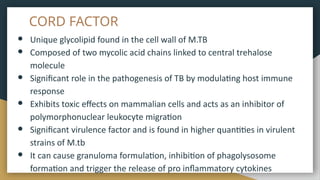Morphology of mycobacterium tuberculosis | PPTX