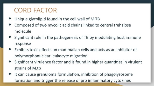 Morphology of mycobacterium tuberculosis | PPT