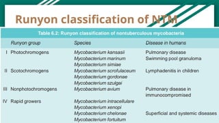Morphology of mycobacterium tuberculosis | PPTX