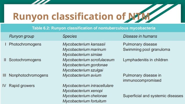Morphology of mycobacterium tuberculosis | PPT