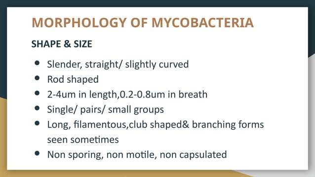 Morphology of mycobacterium tuberculosis | PPT
