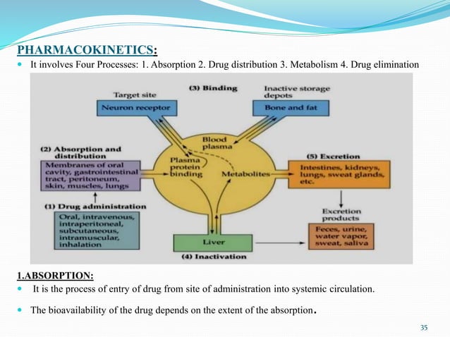 Modified drug delivery systems, Targeted drug delivery and ...