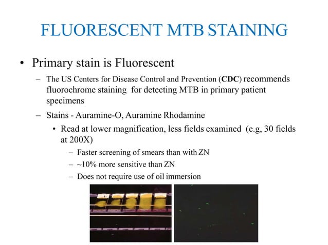 Mycobacterium tuberculosis smear microscopy | PPTX | Infectious ...