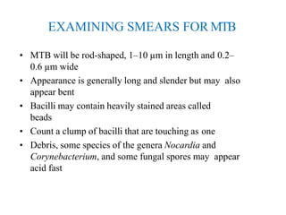 Mycobacterium tuberculosis smear microscopy | PPTX