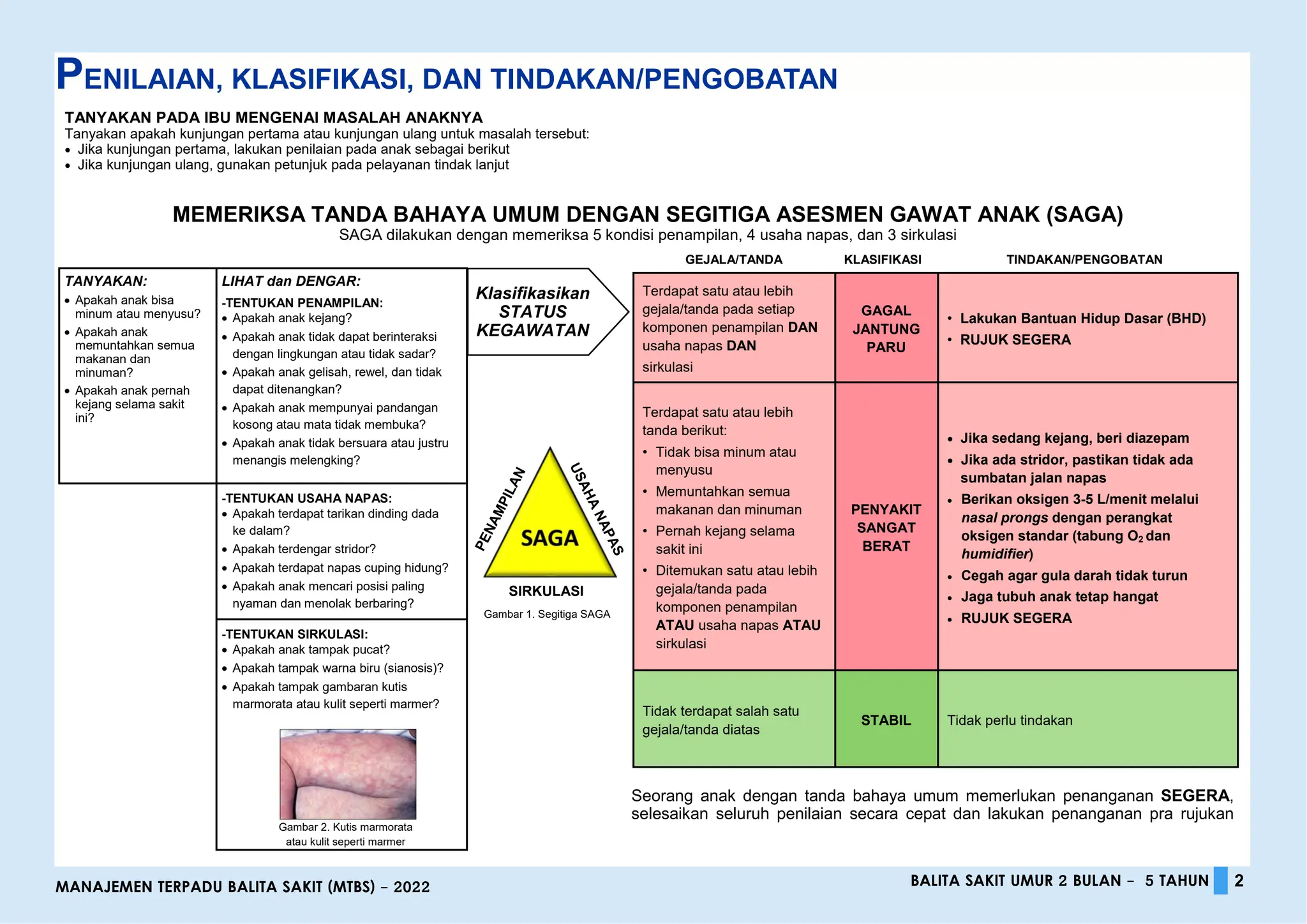 MTBS (MANAJEMEN TERPADU BALITA SAKIT)PDF | PDF