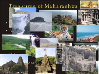 MTDC domestic promotion | PDF