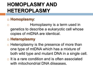Mitochondrial DNA | PPTX
