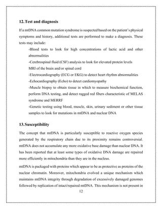 Mitochondrial DNA Report - Rasol Sindy | PDF