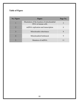 Mitochondrial DNA Report - Rasol Sindy | PDF
