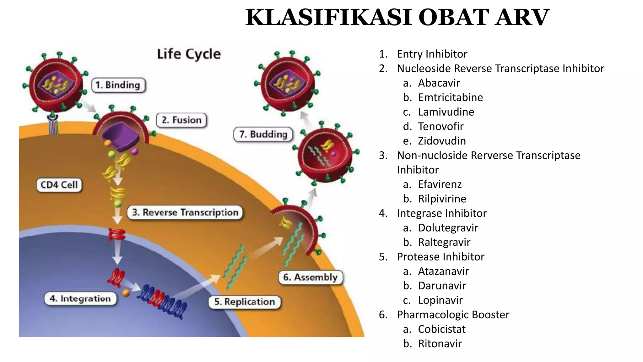 MT draft [Autosaved].pptx