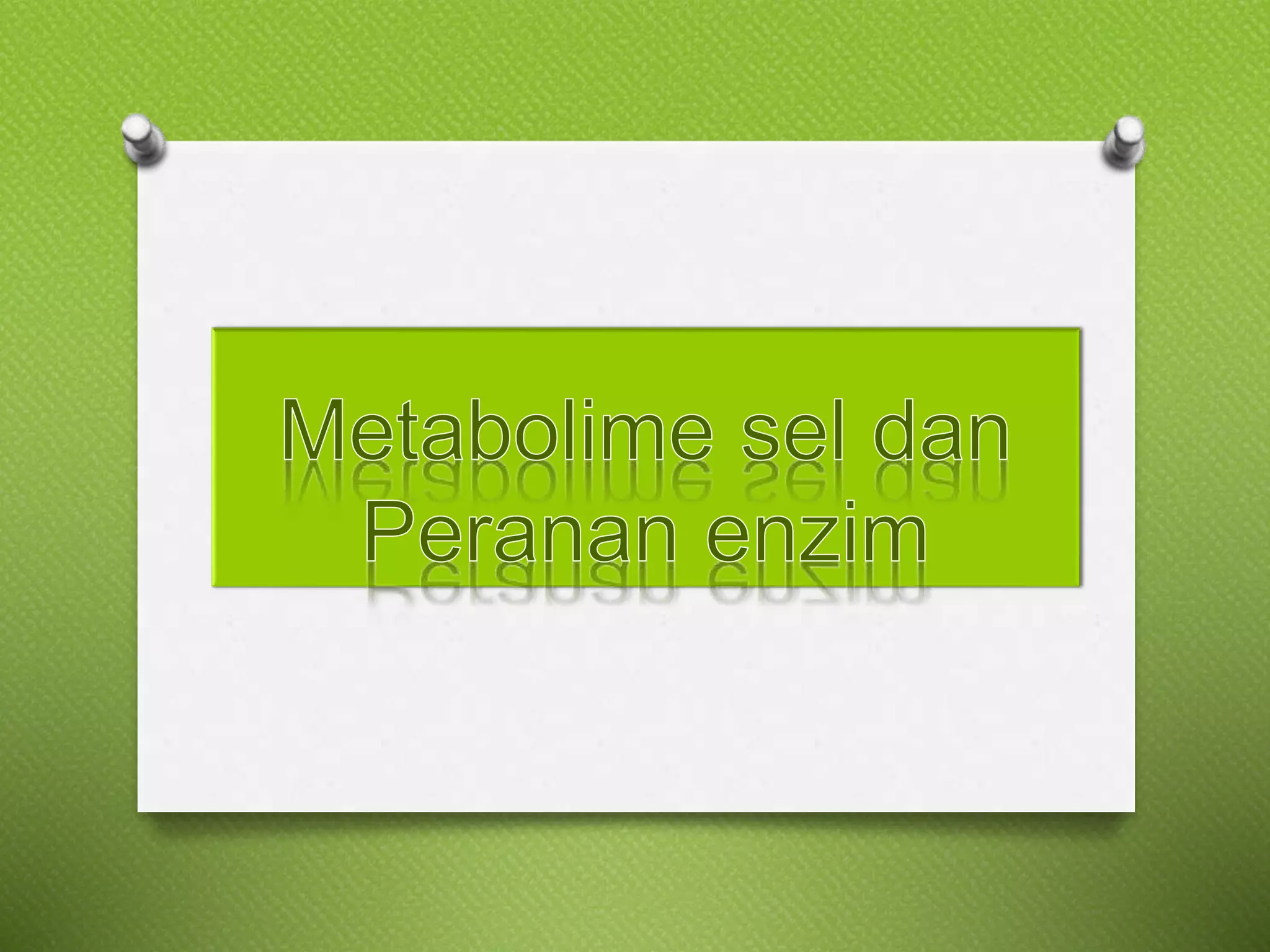 Metabolisme dan peranan enzim pada tumbuhan | PPTX