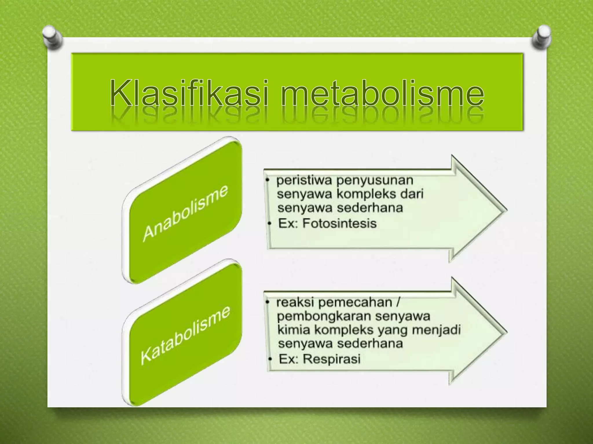 Metabolisme dan peranan enzim pada tumbuhan | PPTX