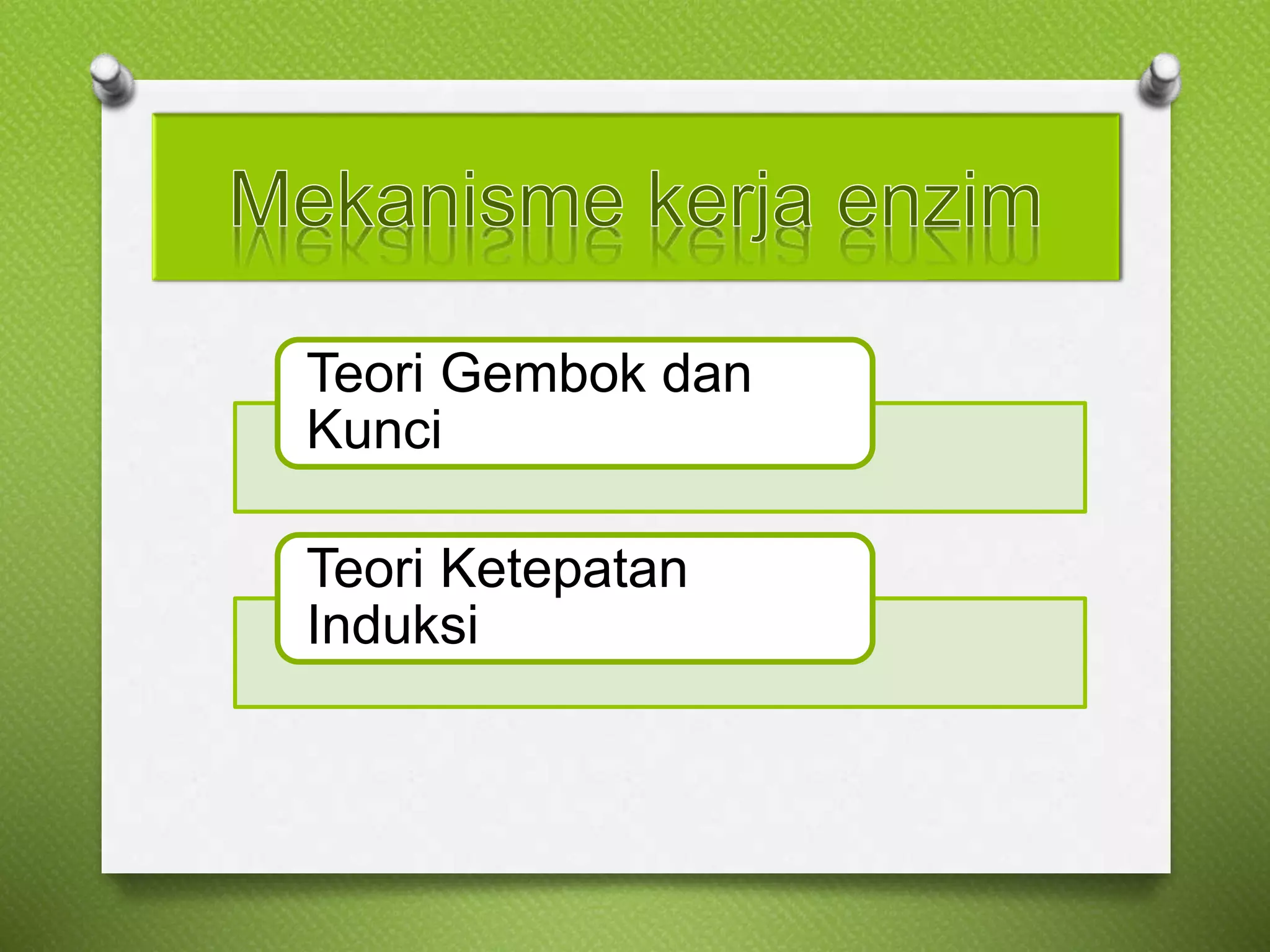 Metabolisme dan peranan enzim pada tumbuhan | PPTX