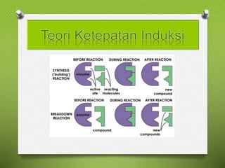 Metabolisme dan peranan enzim pada tumbuhan | PPTX