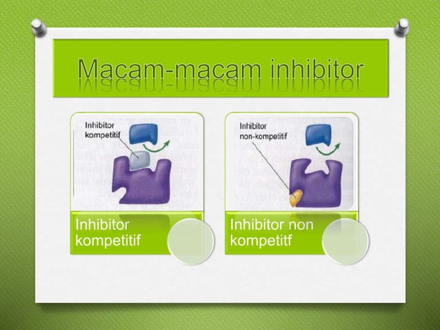 Metabolisme dan peranan enzim pada tumbuhan | PPTX