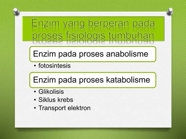 Metabolisme dan peranan enzim pada tumbuhan | PPTX