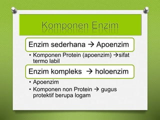 Metabolisme dan peranan enzim pada tumbuhan | PPTX