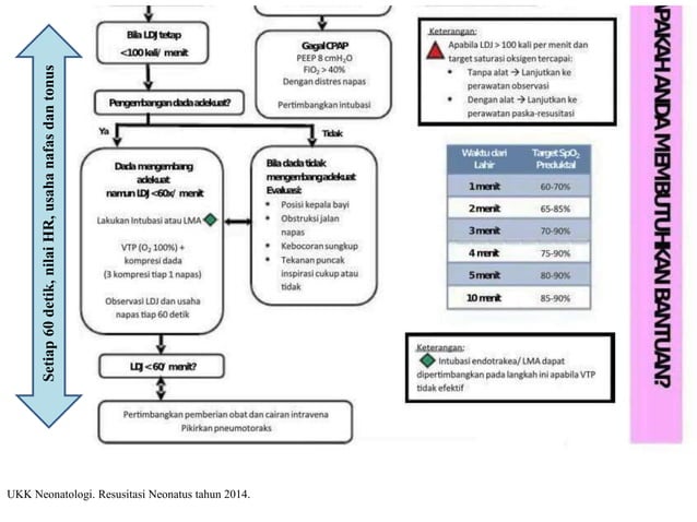 MTE (Tatalaksana Syok dan Resusitasi).pptx