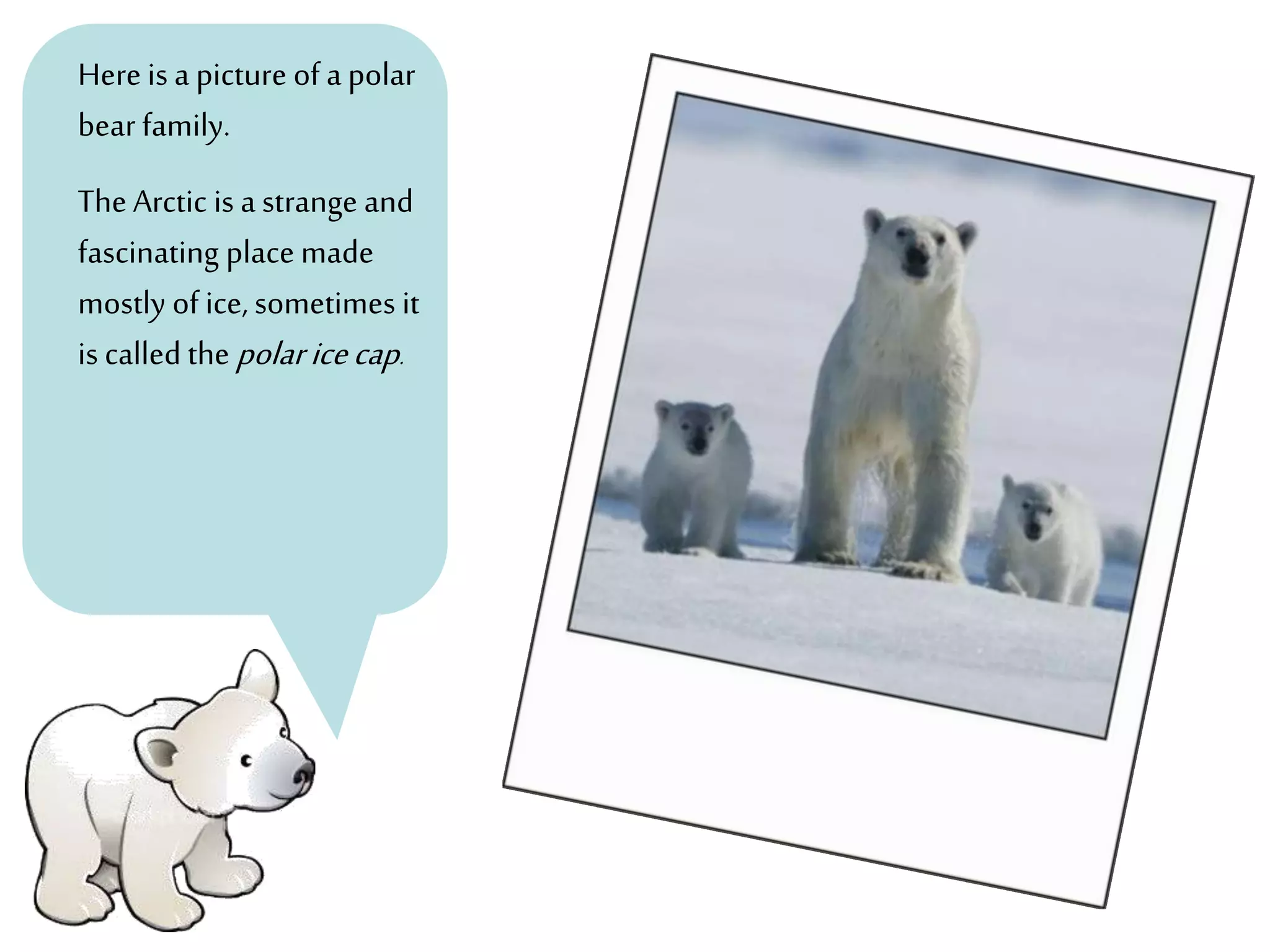 Magic Tree House Polar Bears Past Bedtime: Overview of the Arctic | PPT