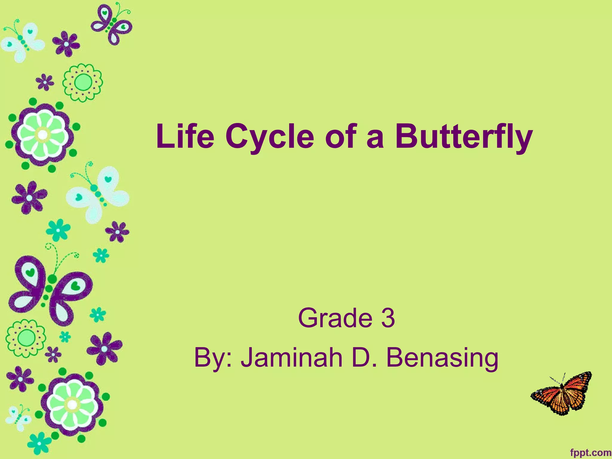 Life Cycle of A Butterfly | PPT