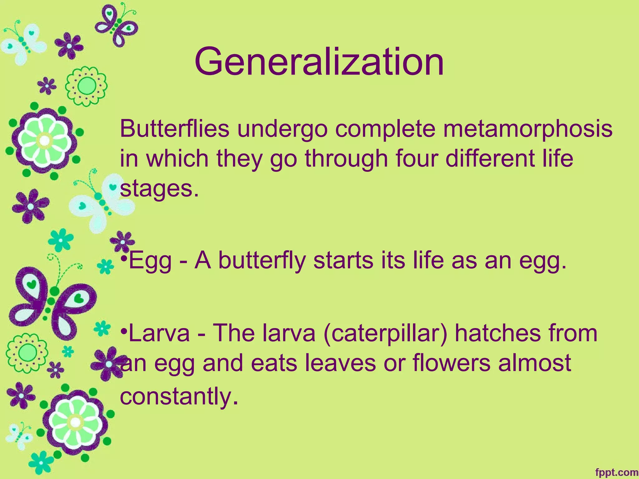 Life Cycle of A Butterfly | PPT