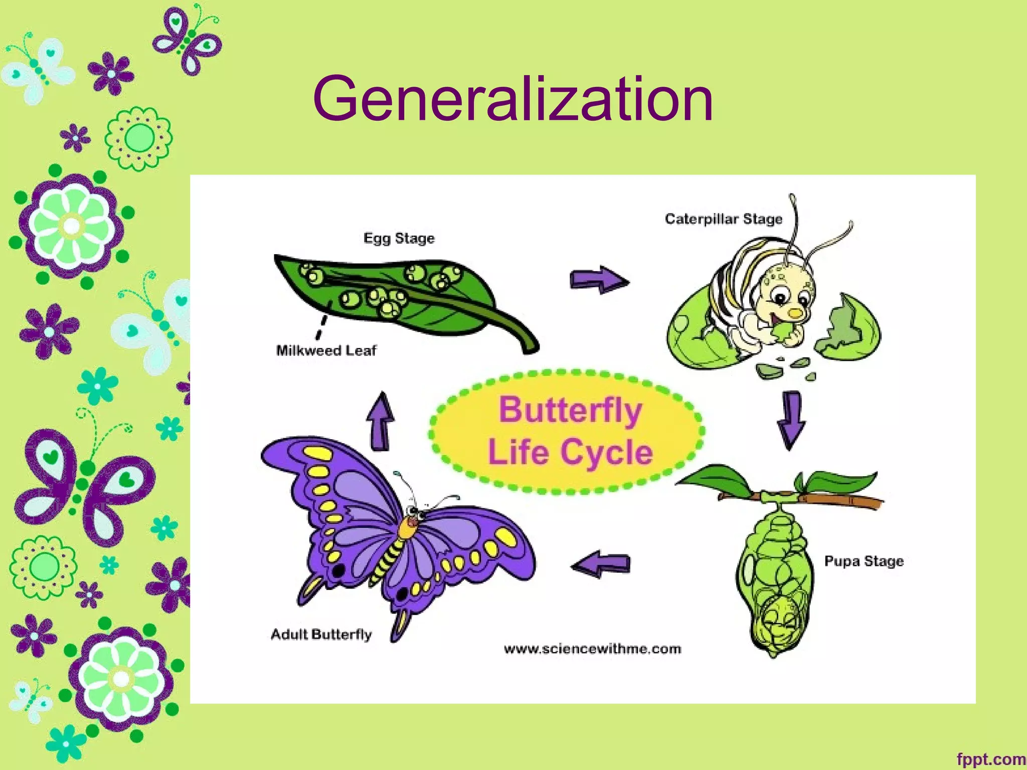 Life Cycle of A Butterfly | PPT