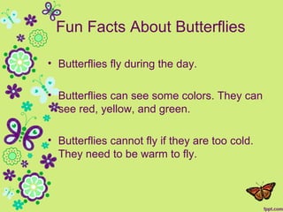Life Cycle of A Butterfly | PPT