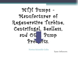MTH Pumps - Manufacturer of Regenerative Turbine, Centrifugal, Sealless ...