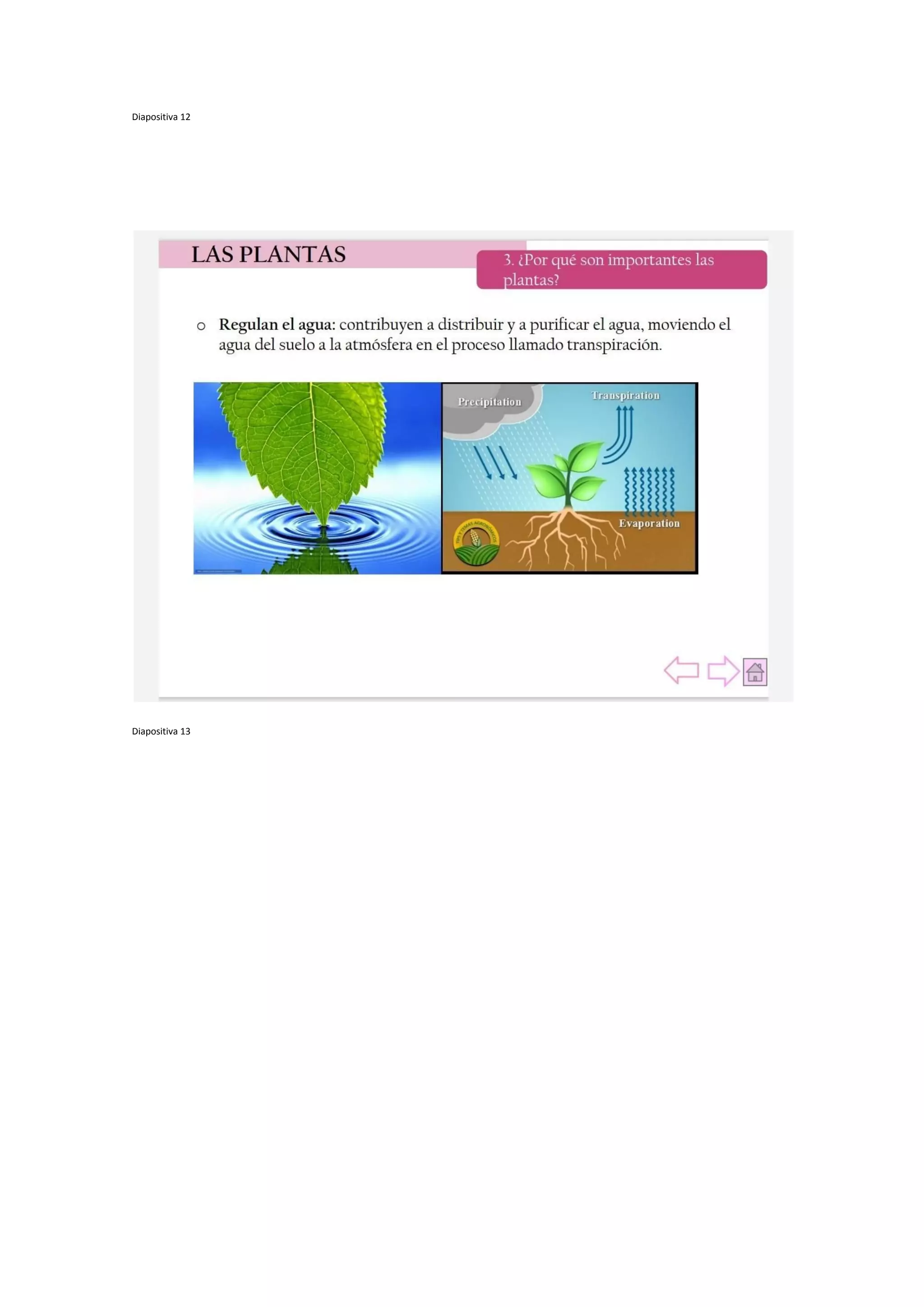 guia didactica | PDF