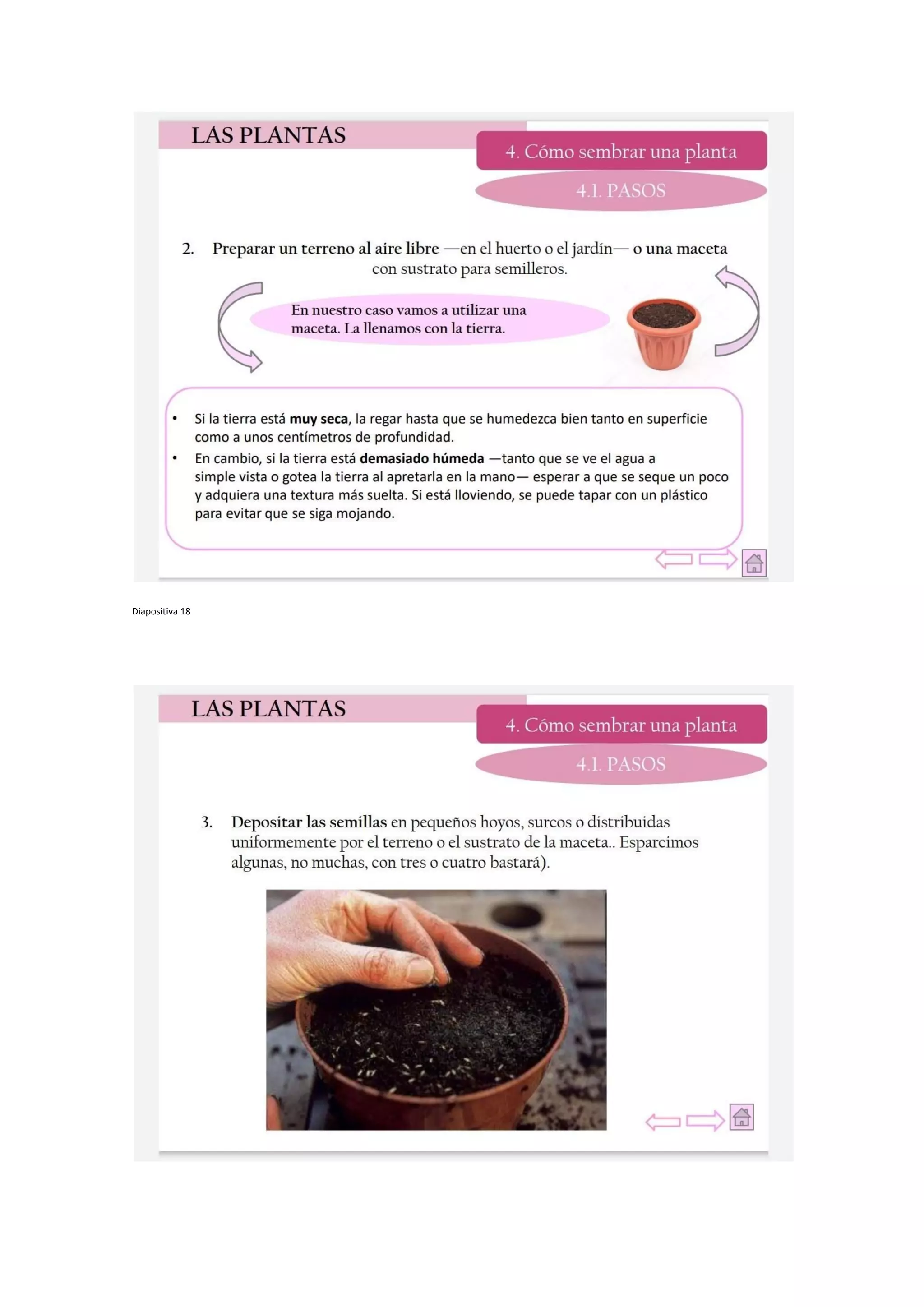 guia didactica | PDF