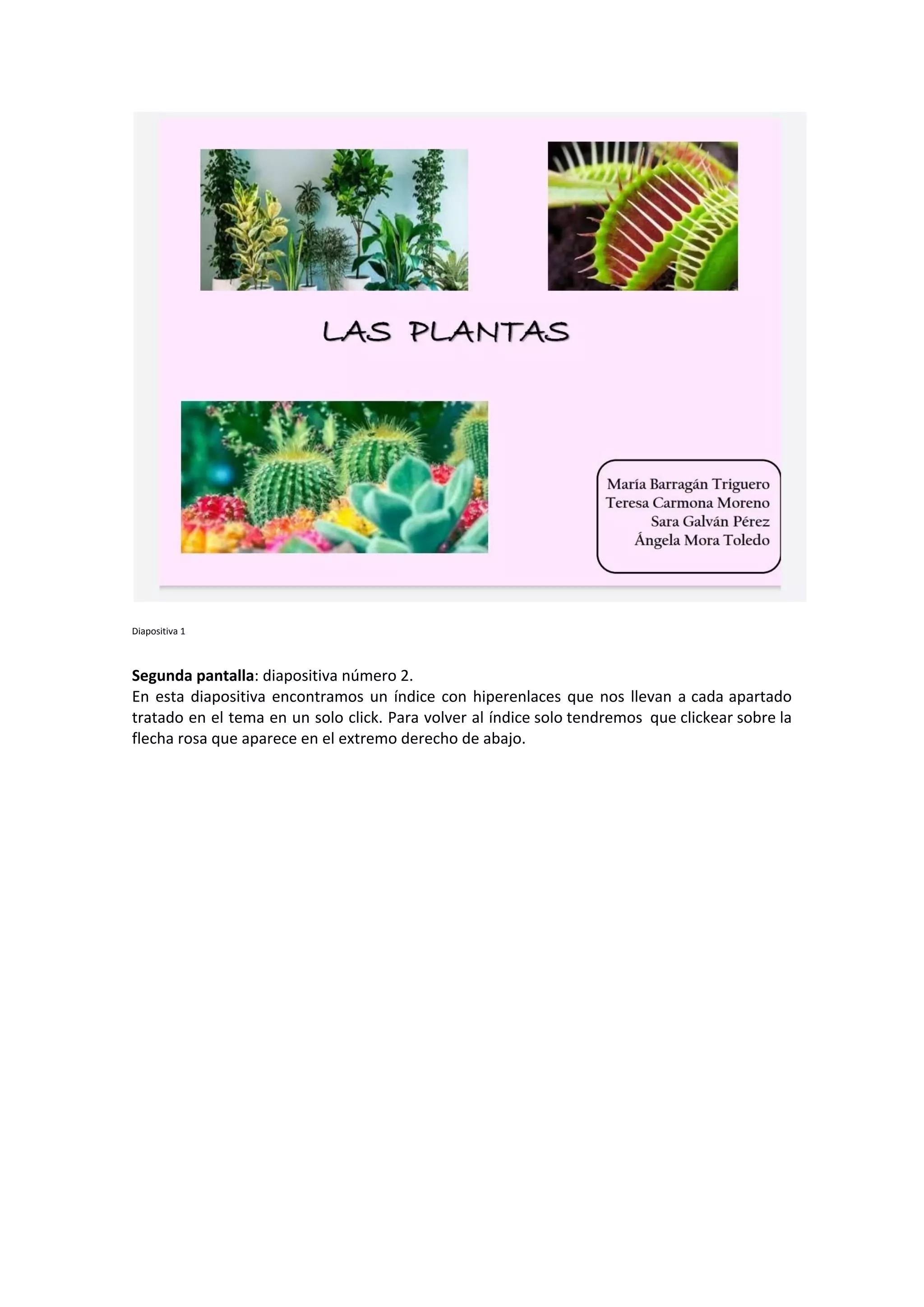 guia didactica | PDF