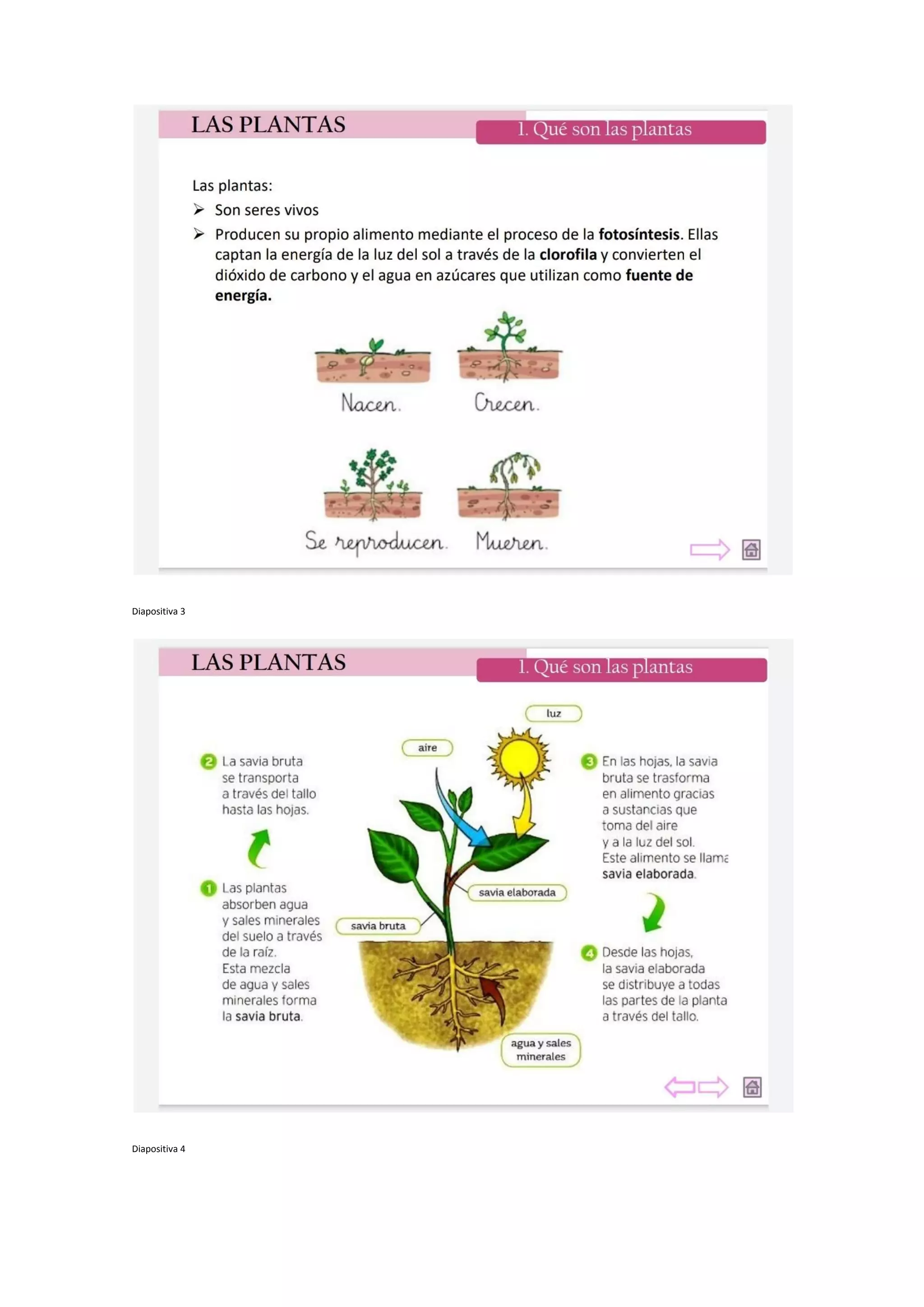 guia didactica | PDF