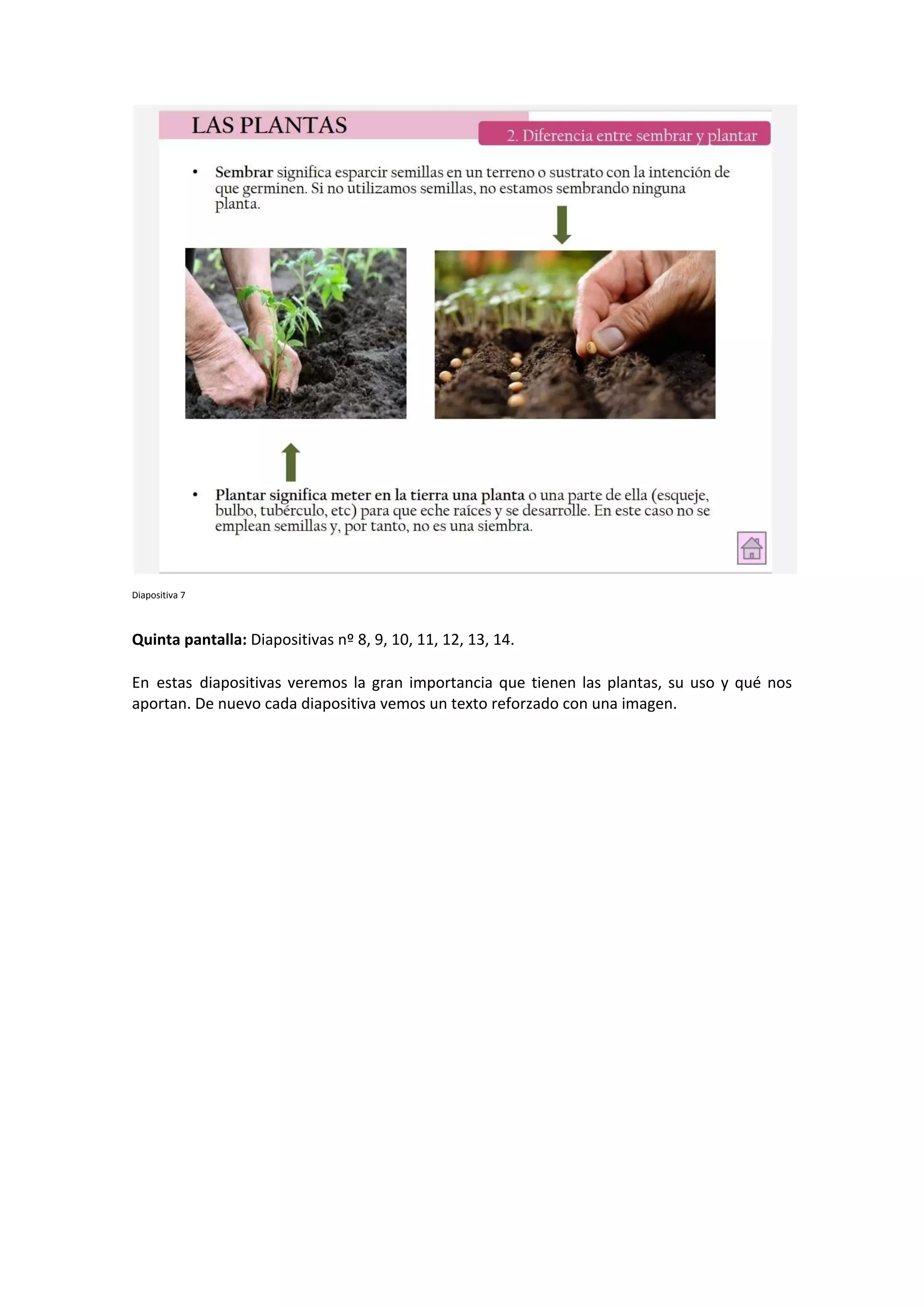 guia didactica | PDF