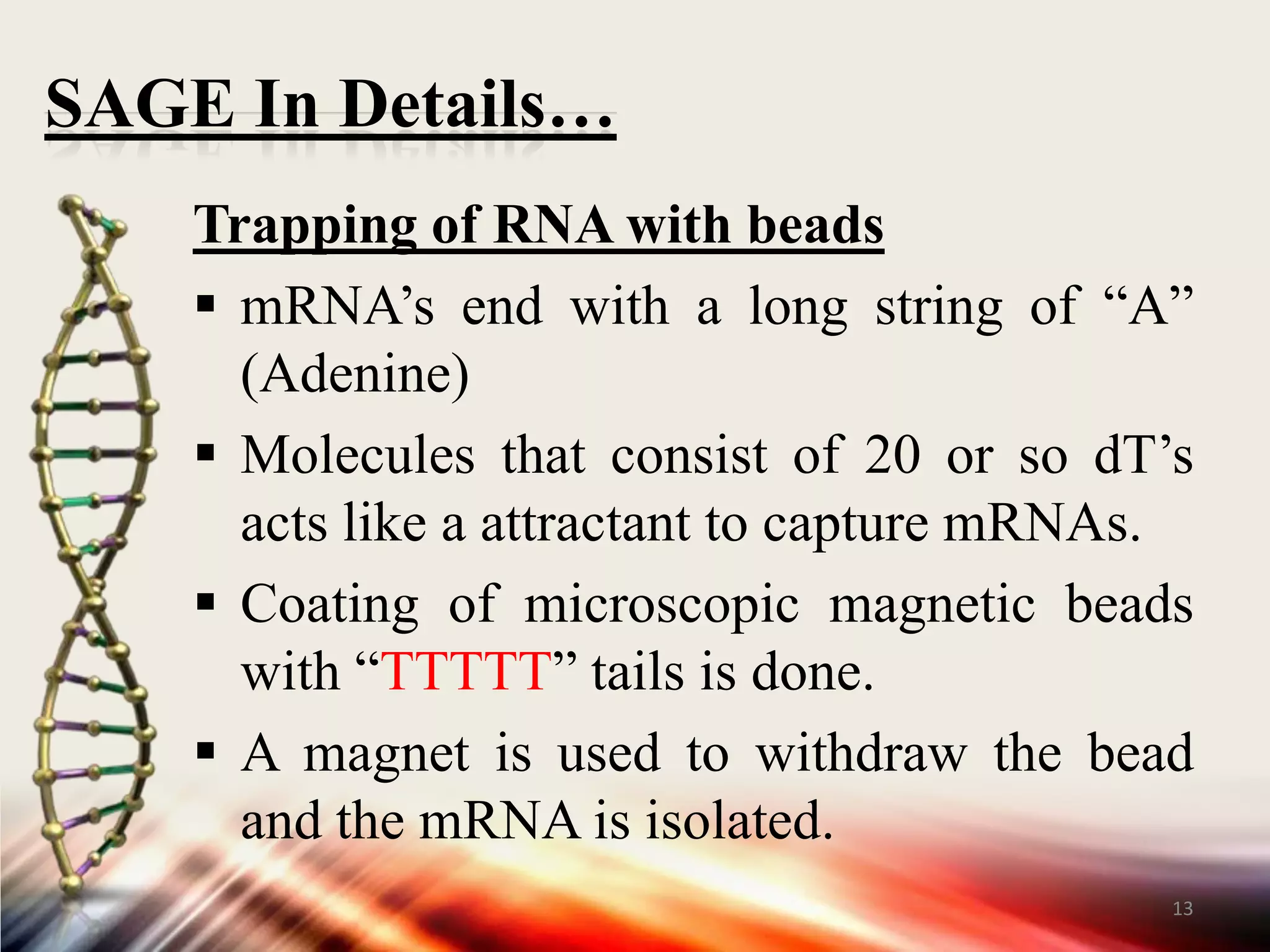 SAGE (Serial analysis of Gene Expression) | PPTX