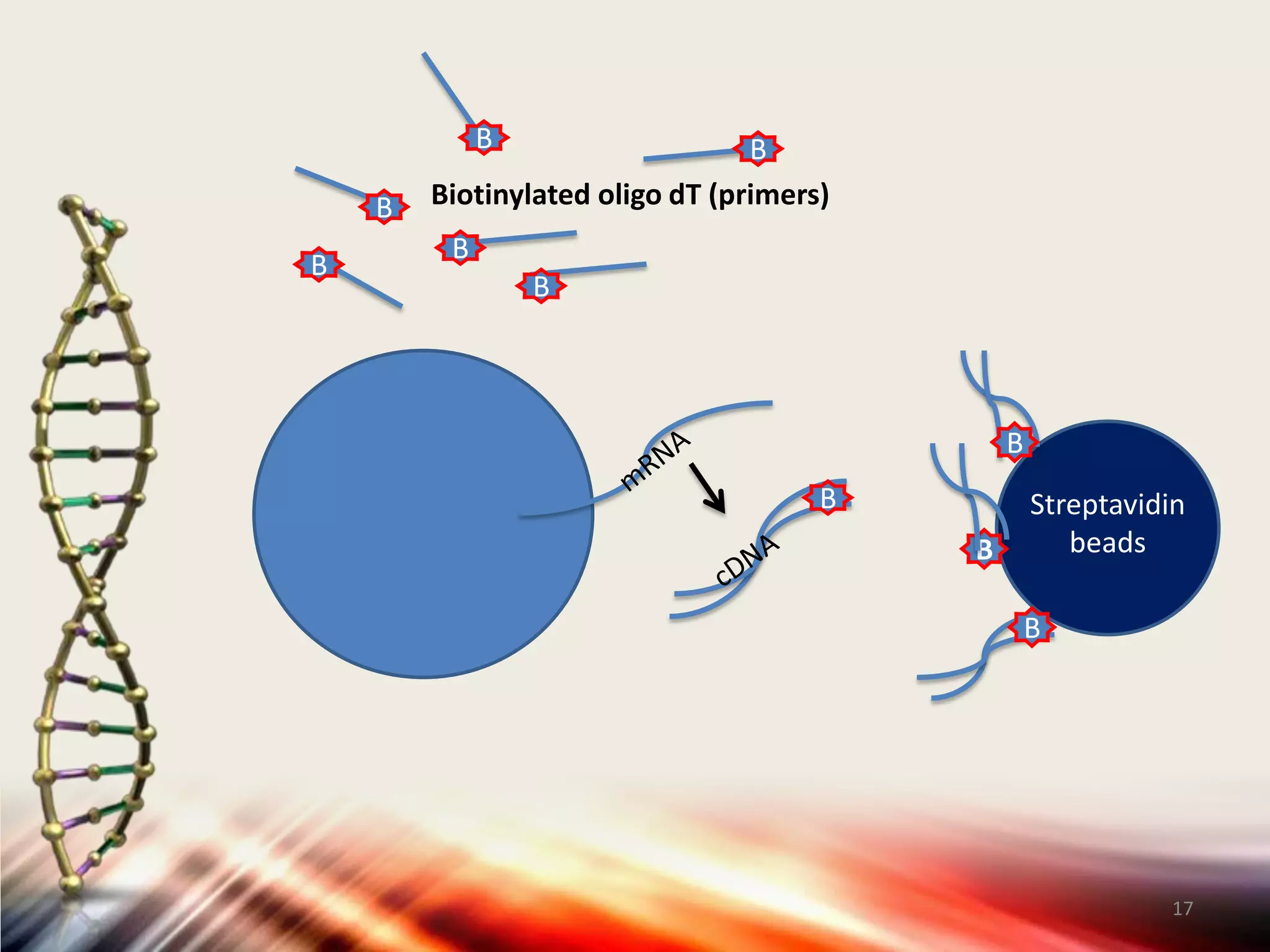 SAGE (Serial analysis of Gene Expression) | PPTX