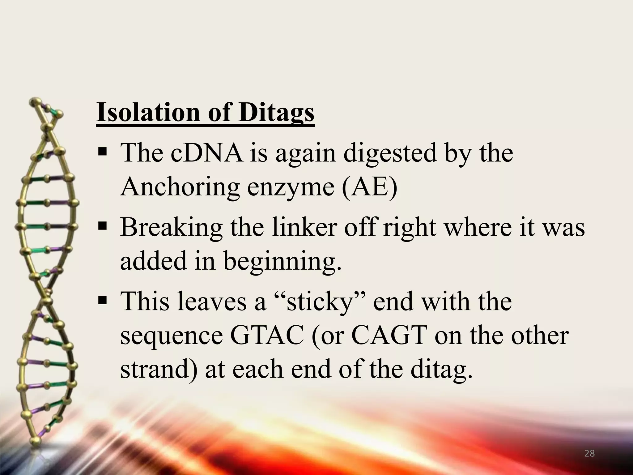 SAGE (Serial analysis of Gene Expression) | PPTX