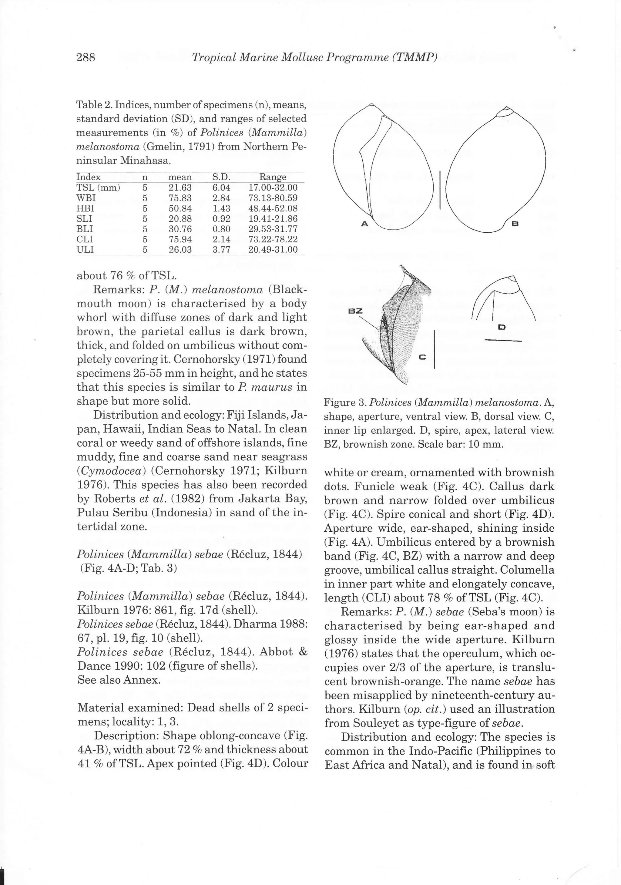 Mt lasut 1998-polinices-pmbc | PDF