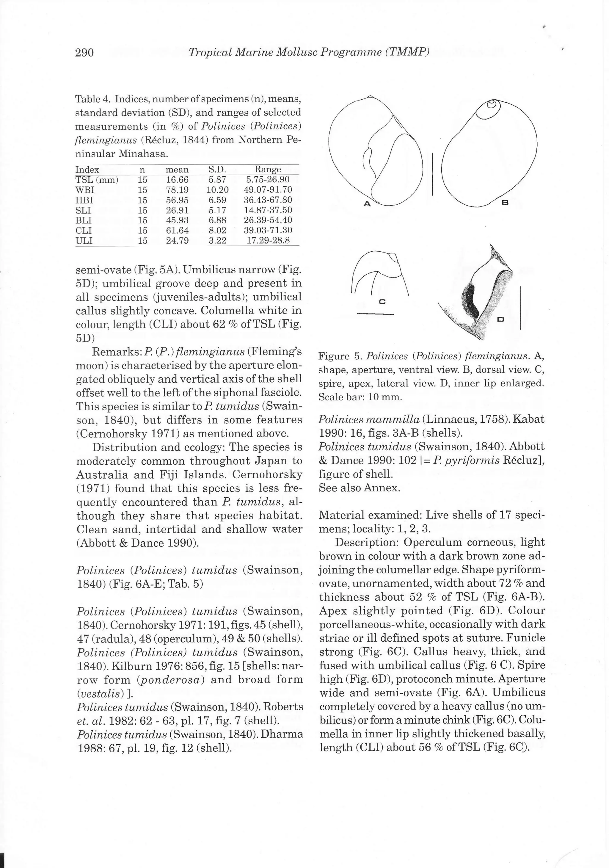 Mt lasut 1998-polinices-pmbc | PDF