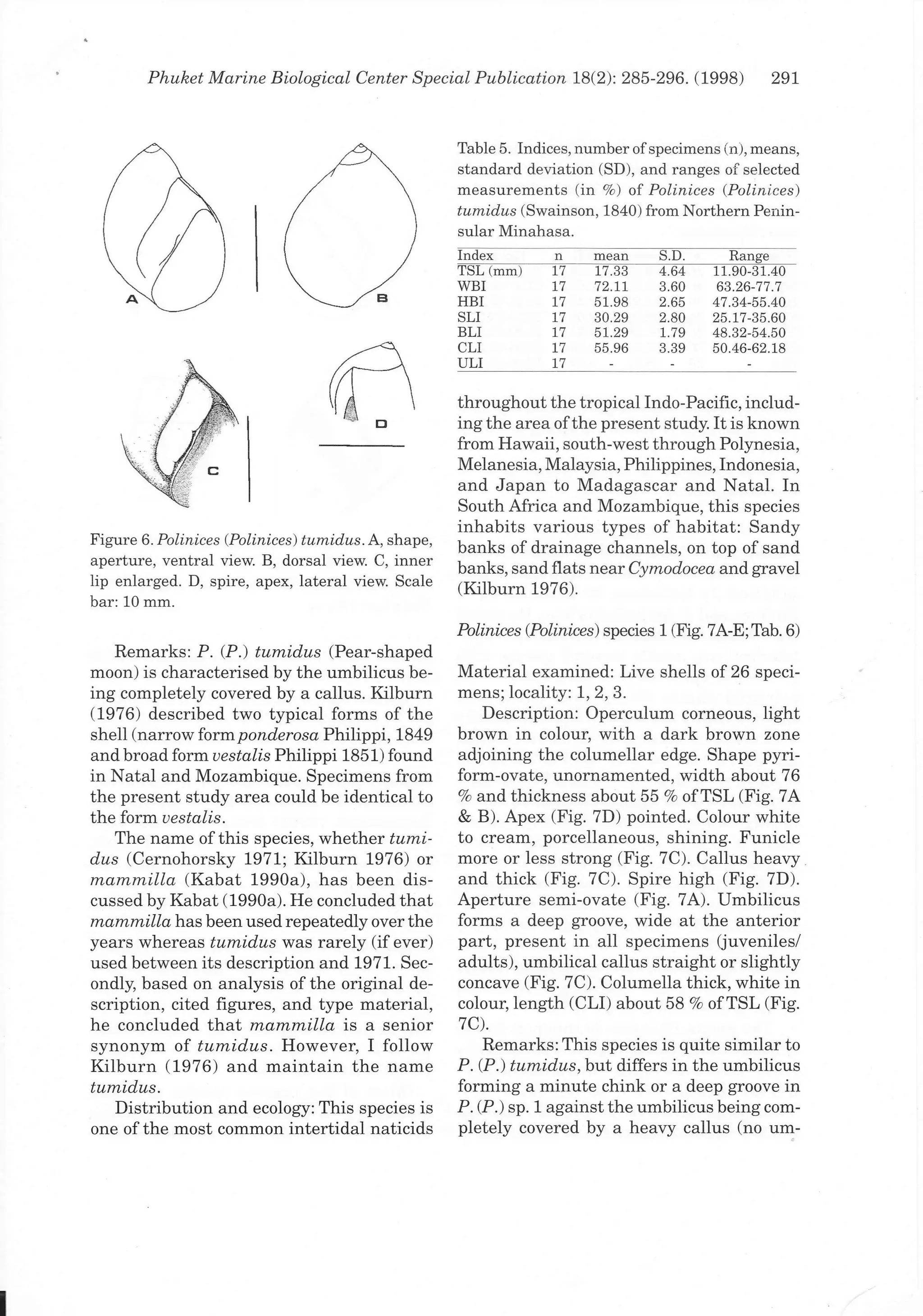 Mt lasut 1998-polinices-pmbc | PDF
