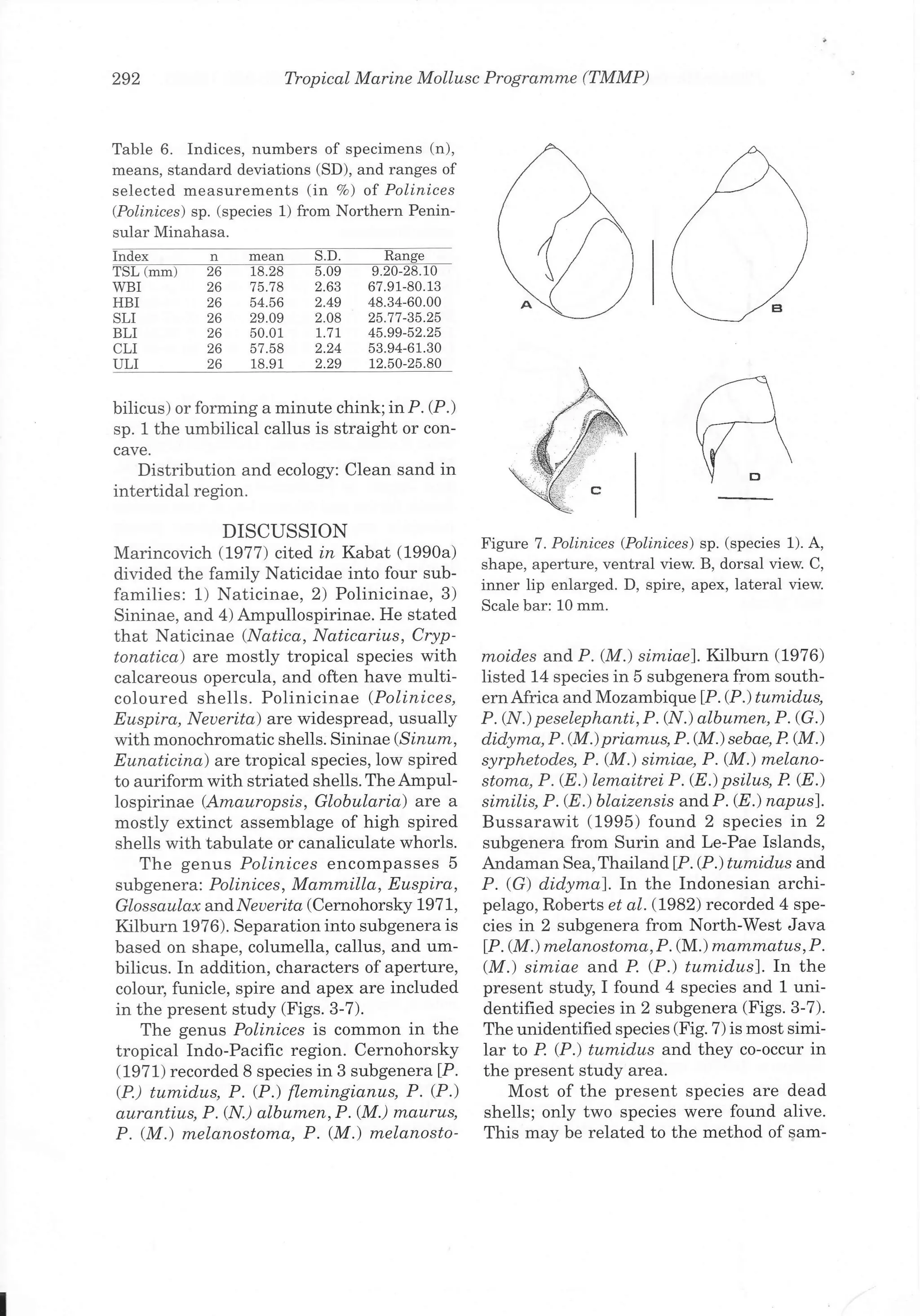 Mt lasut 1998-polinices-pmbc | PDF