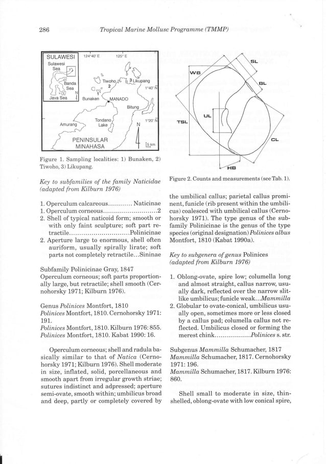 Mt lasut 1998-polinices-pmbc | PDF