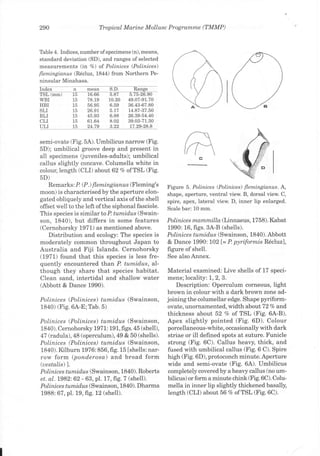 Mt lasut 1998-polinices-pmbc | PDF