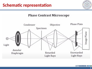 BF DF _quantitative microscope.ppt