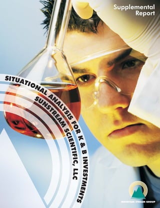 Mountain Stream Group: Portfolio Sample - Valve Industry Market ...