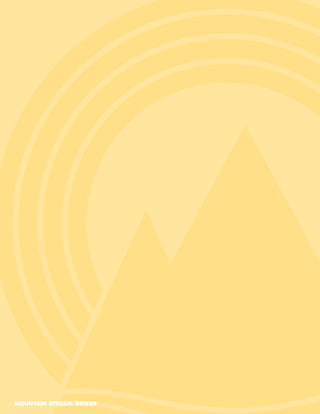 Mountain Stream Group: Portfolio Sample - Valve Industry Market ...