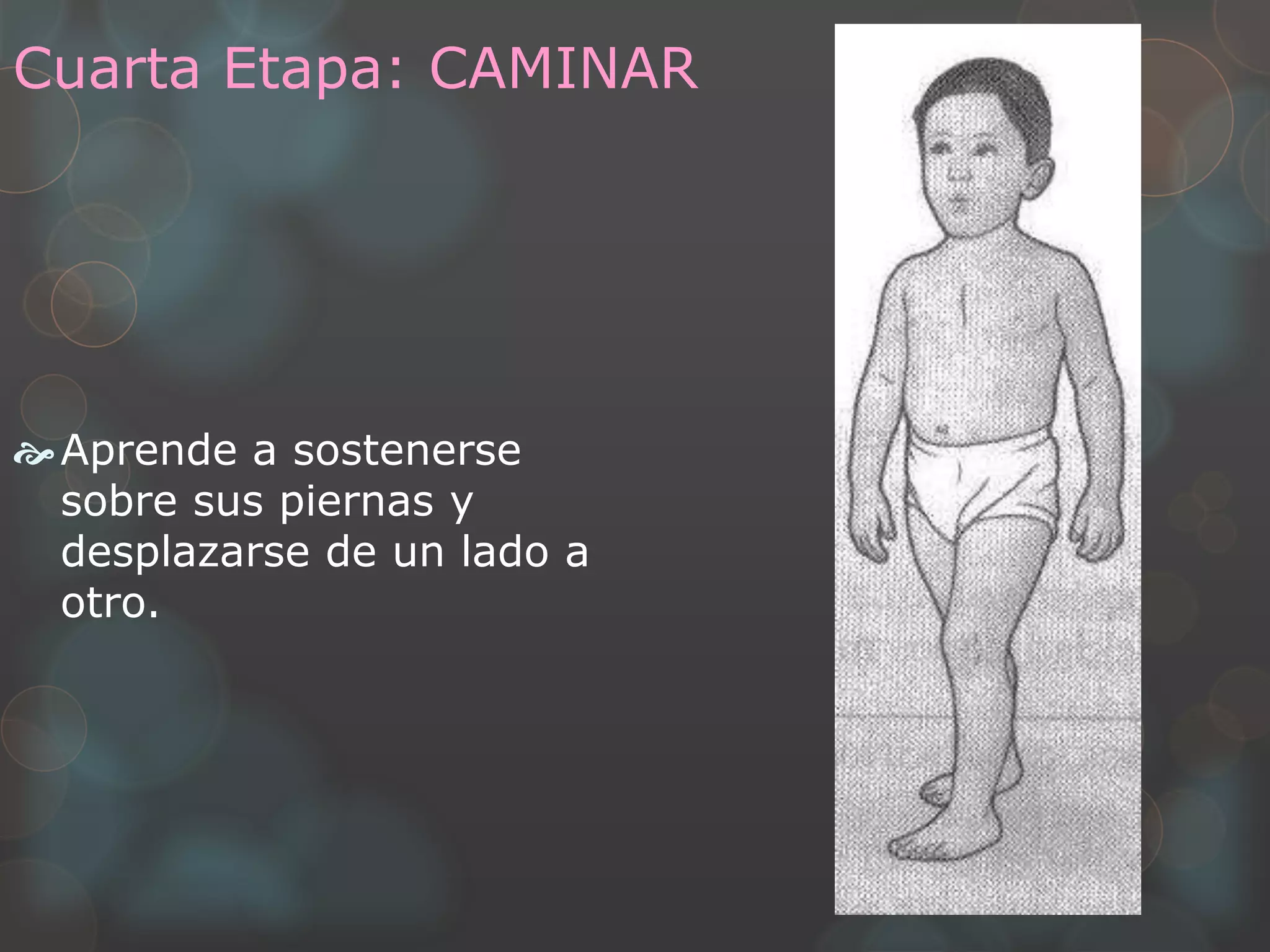 Método de tratamiento Temple Fay - Neurofacilitación | PPTX | Physical ...