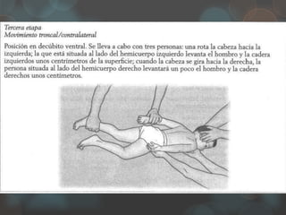 Método de tratamiento Temple Fay - Neurofacilitación | PPTX