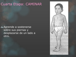 Método de tratamiento Temple Fay - Neurofacilitación | PPTX